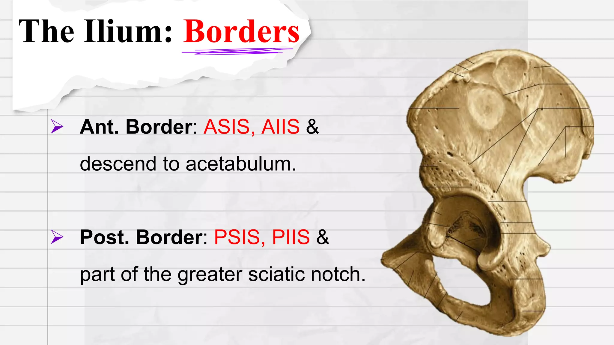 Anatomy Lesson_ LL1-2202-23.pdf