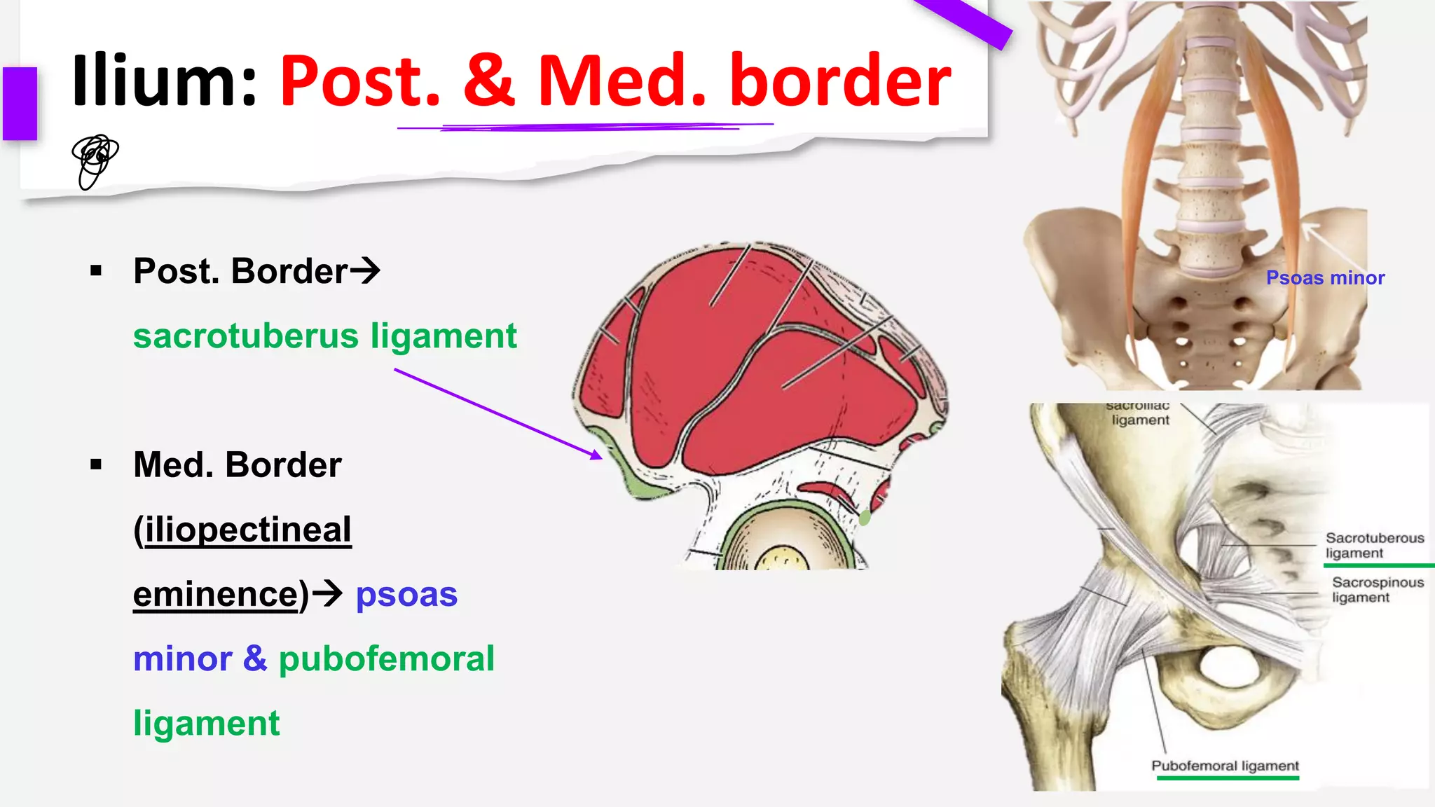 Anatomy Lesson_ LL1-2202-23.pdf