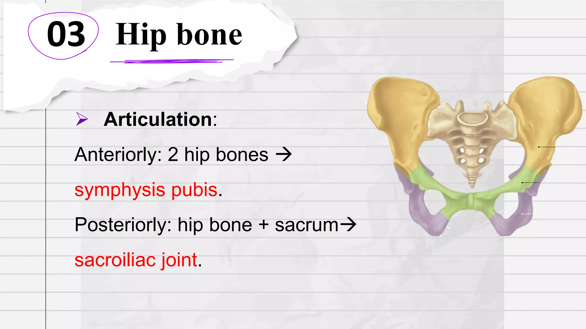 Anatomy Lesson_ LL1-2202-23.pdf