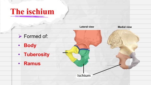 Anatomy Lesson_ LL1-2202-23.pdf