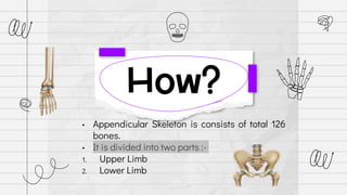Anatomy for Education by aditya ji .pptx