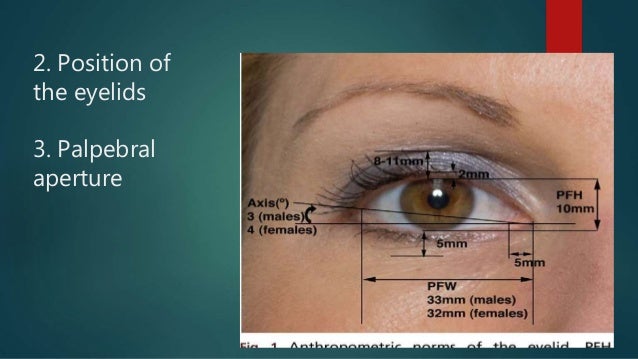 ocular Anatomy lid +conj+lacr2 dr.mohammed