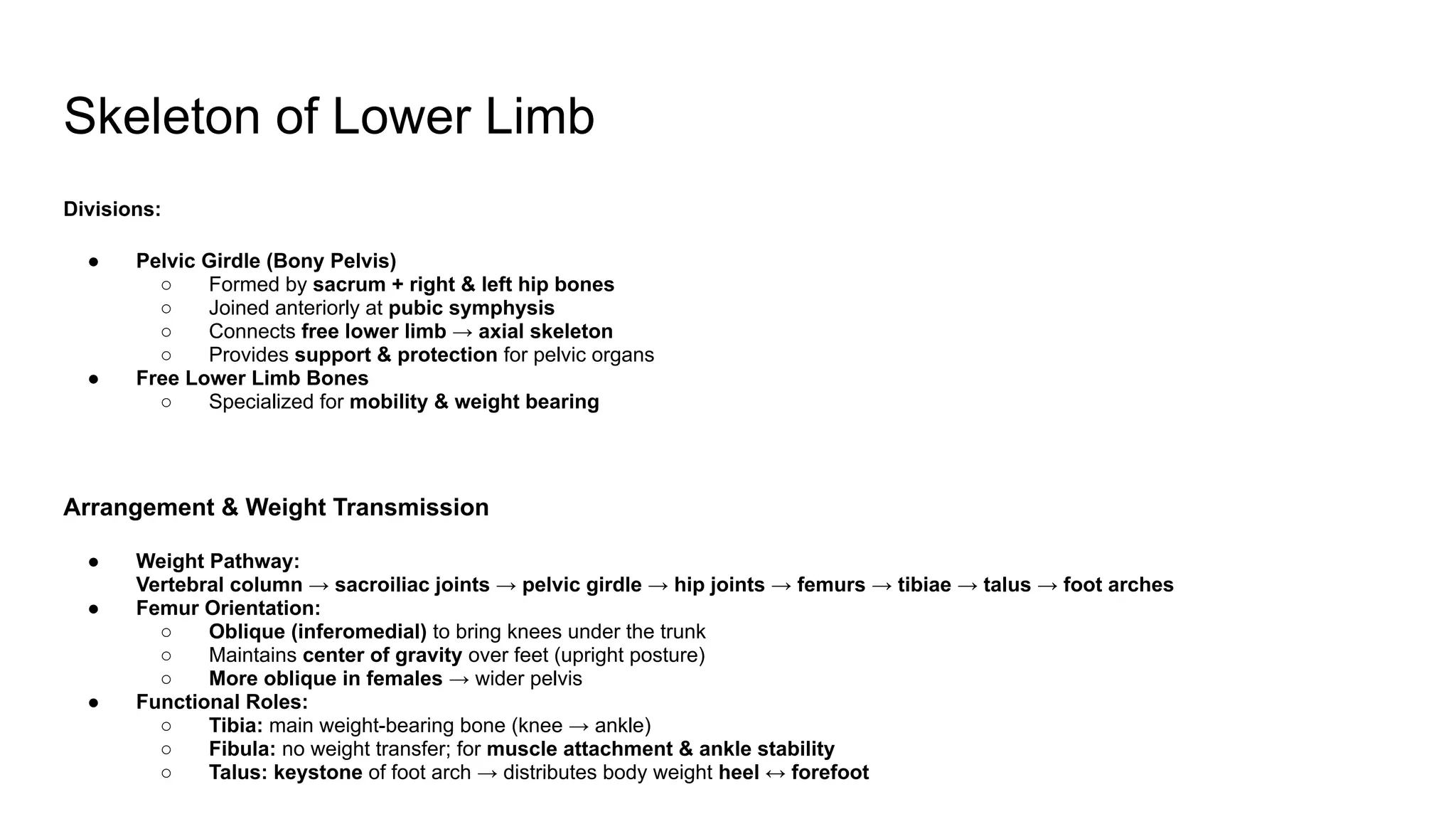 Anatomy Lower Limb-Bones.pdf for Moores anatomy | PDF