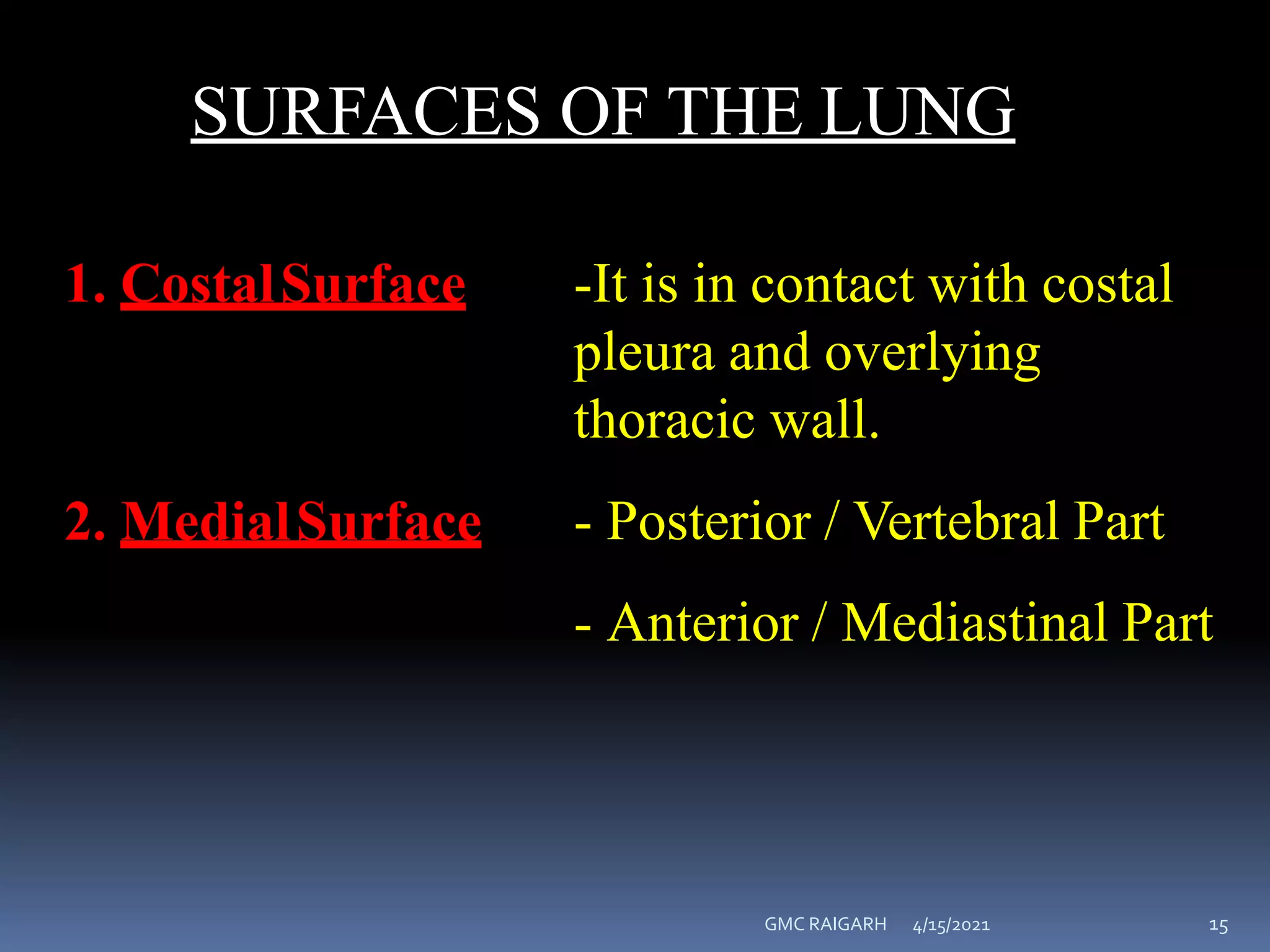 Anatomy lungs | PPTX