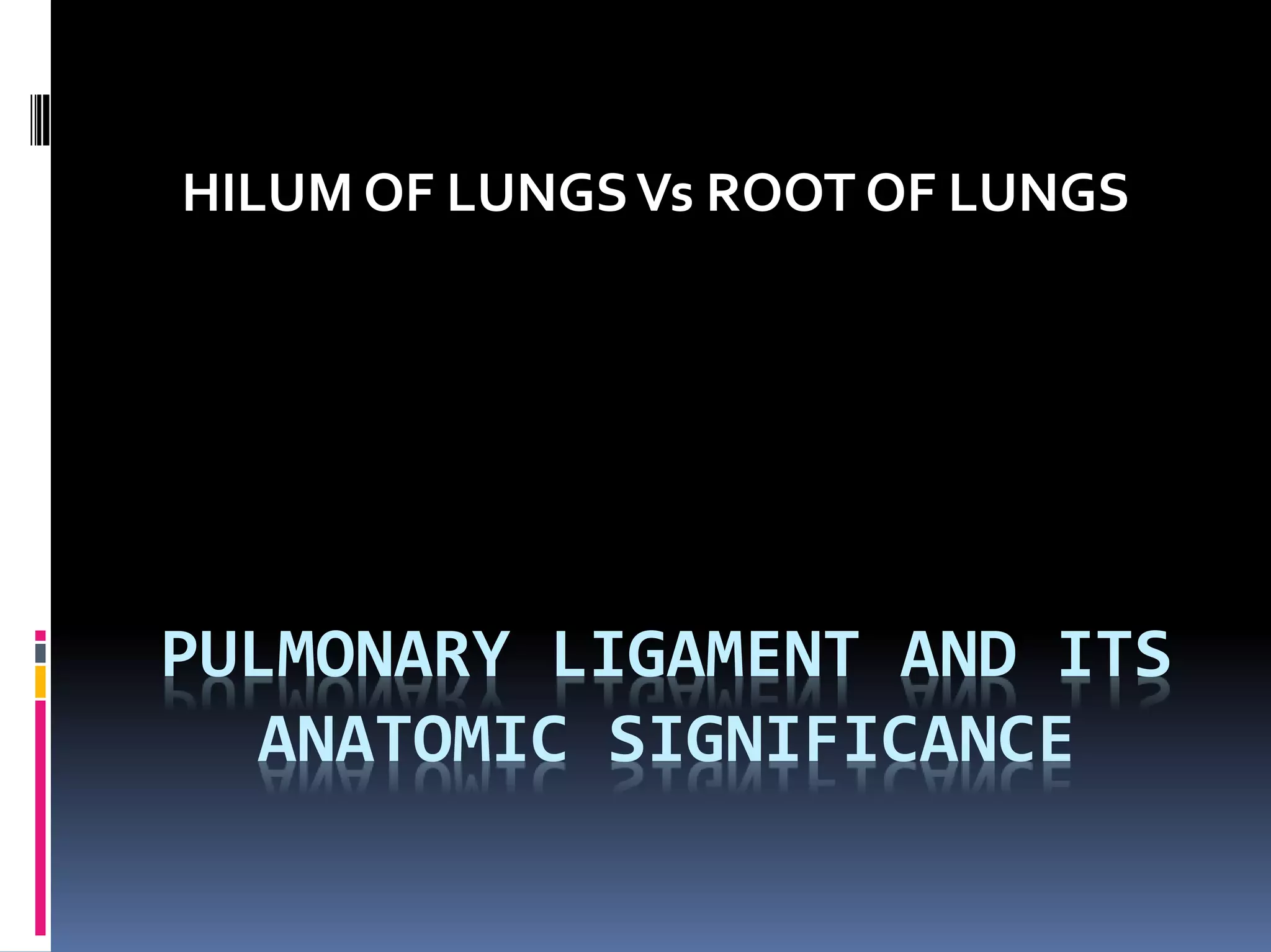 Anatomy lungs | PPTX