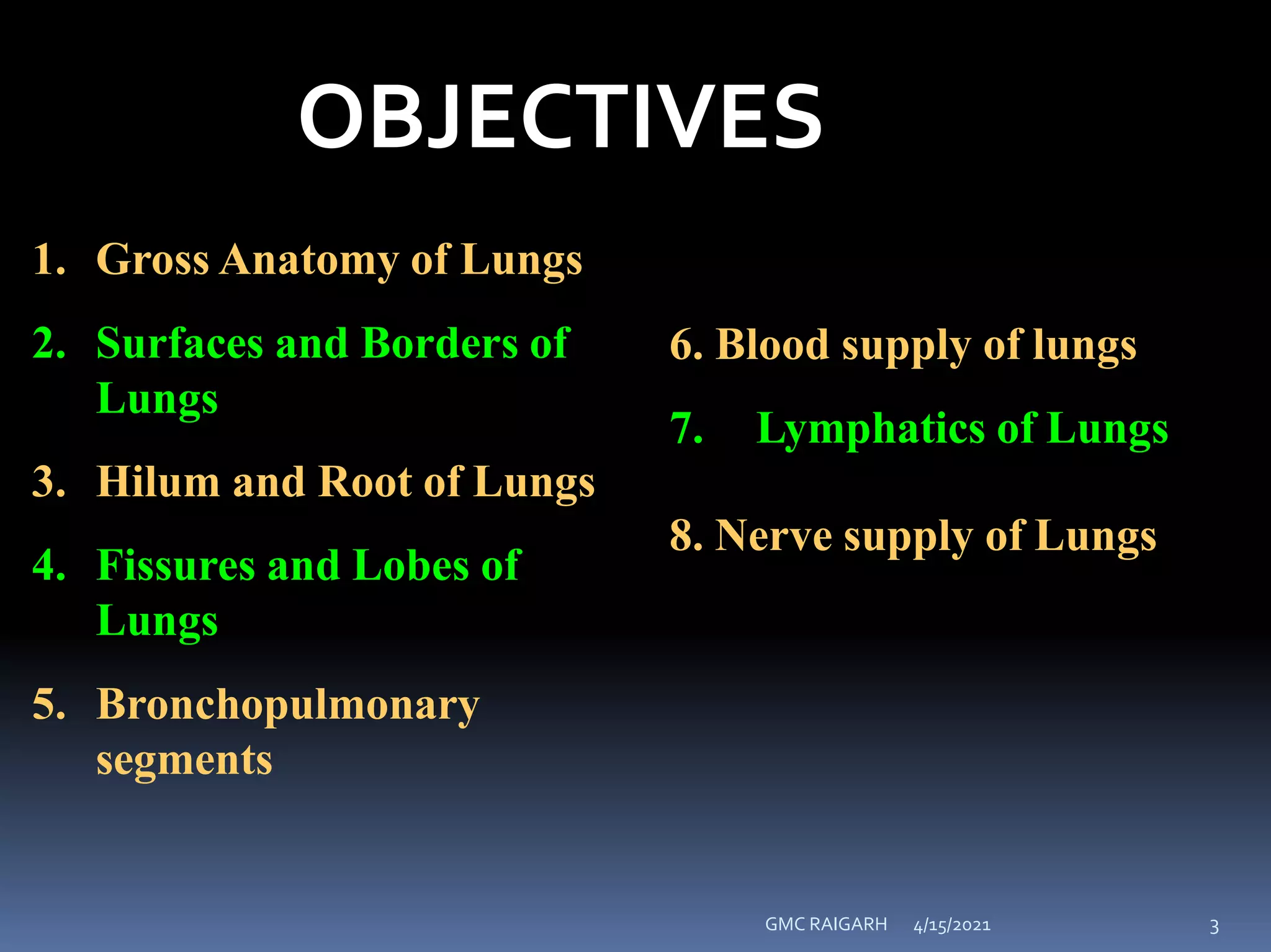 Anatomy lungs | PPTX
