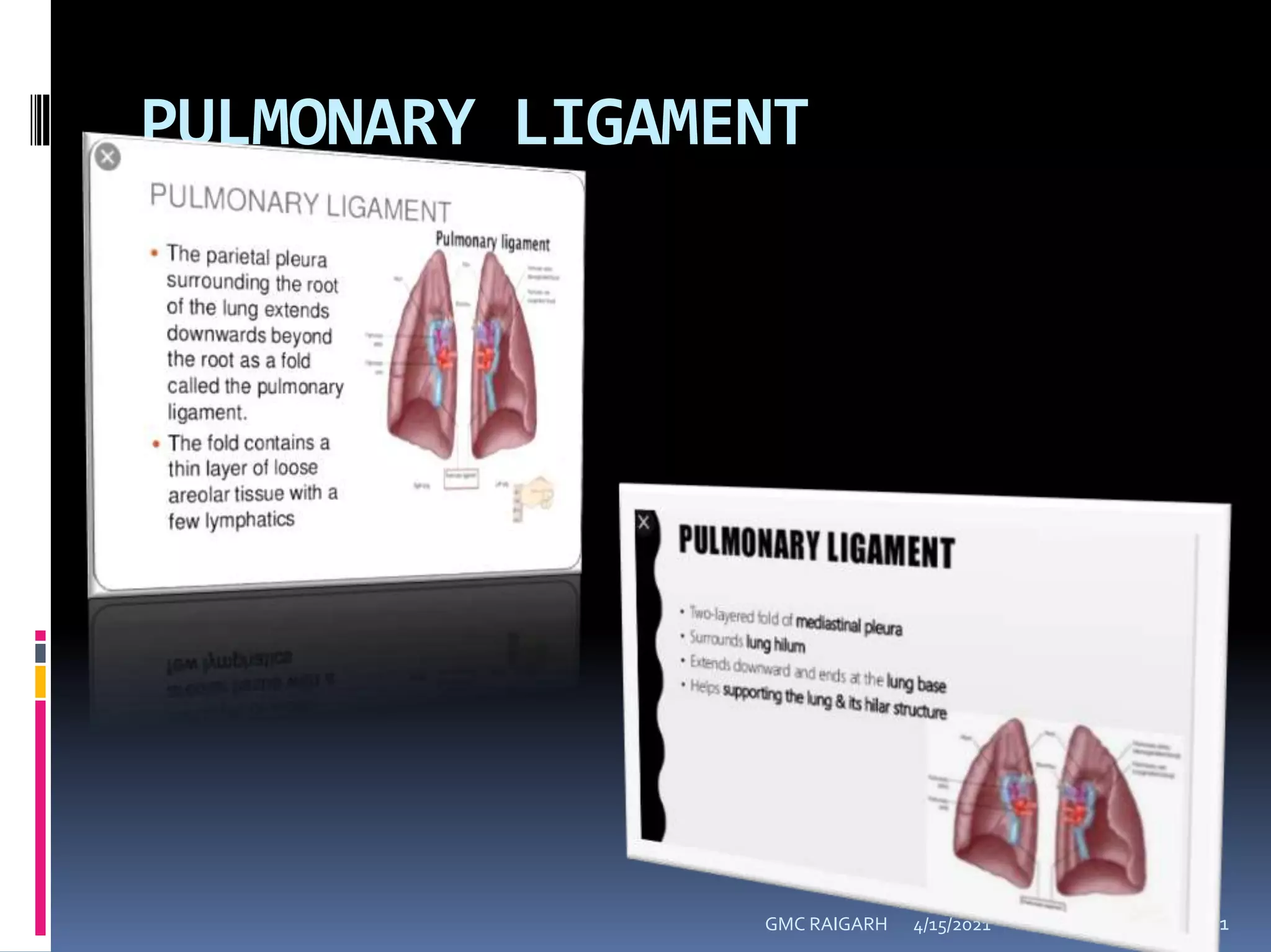 Anatomy lungs | PPTX
