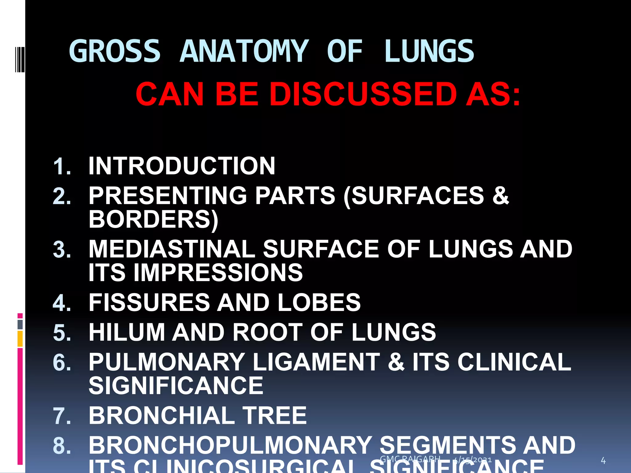Anatomy lungs | PPTX