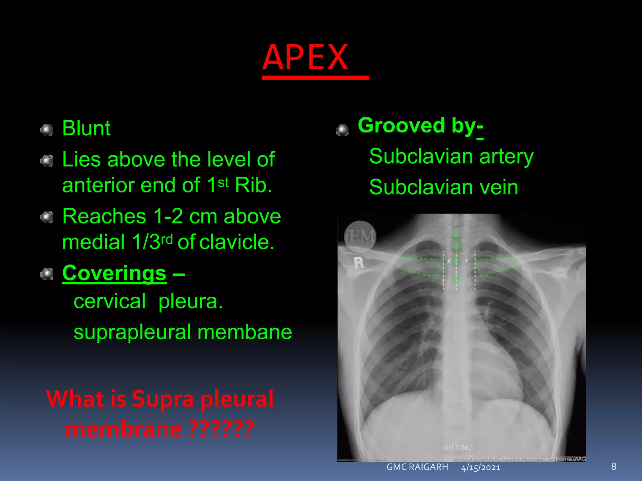 Anatomy lungs | PPTX