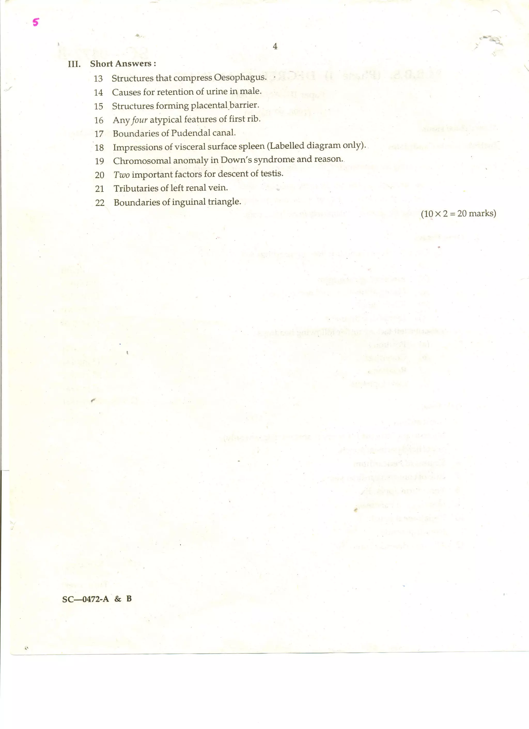 Anatomy mbbs rguhs qp1999 to 2001 m old paper | PDF