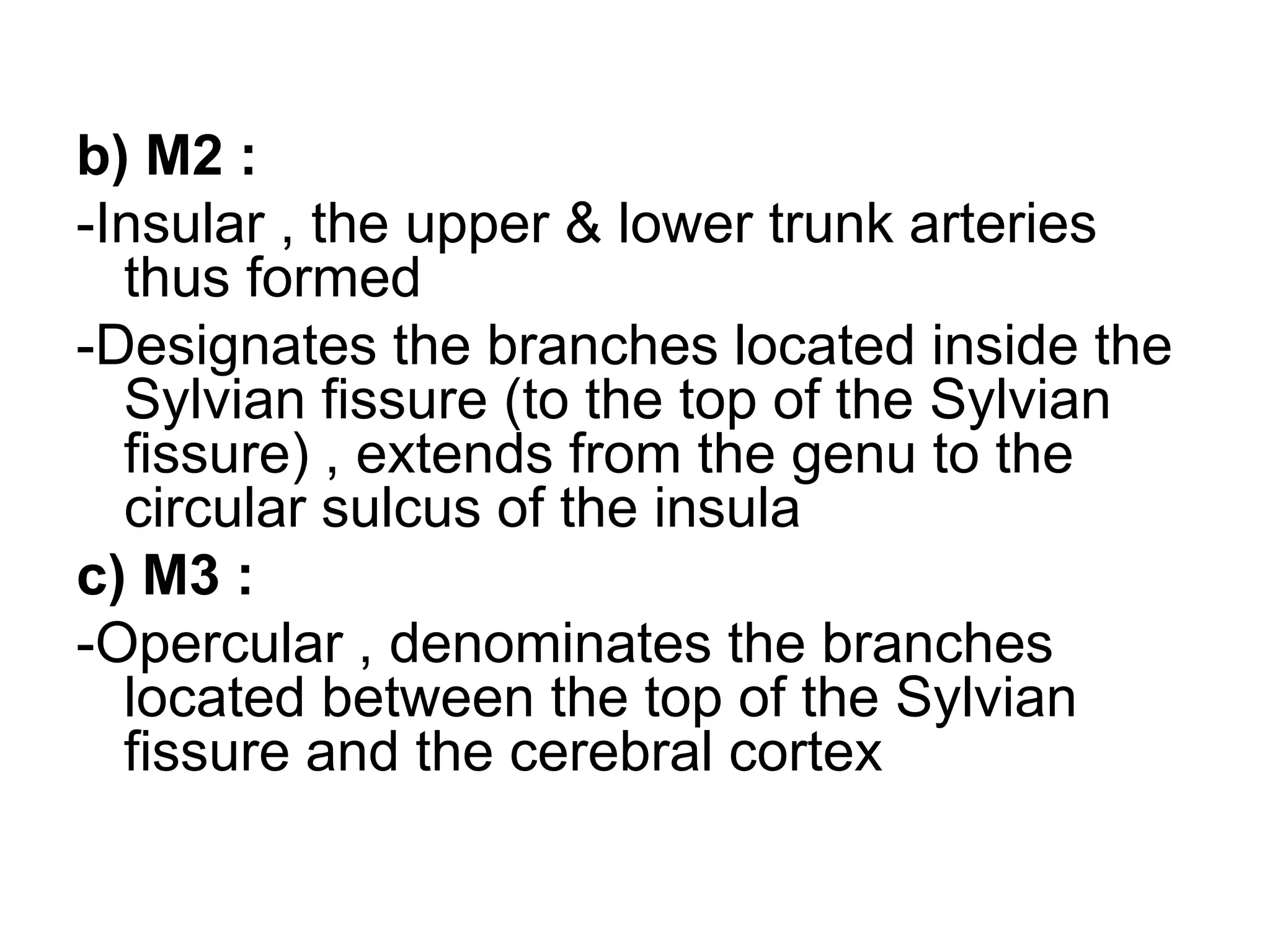 Anatomy of the middle cerebral artery (MCA) | PPT