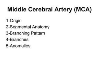 Anatomy of the middle cerebral artery (MCA) | PPT
