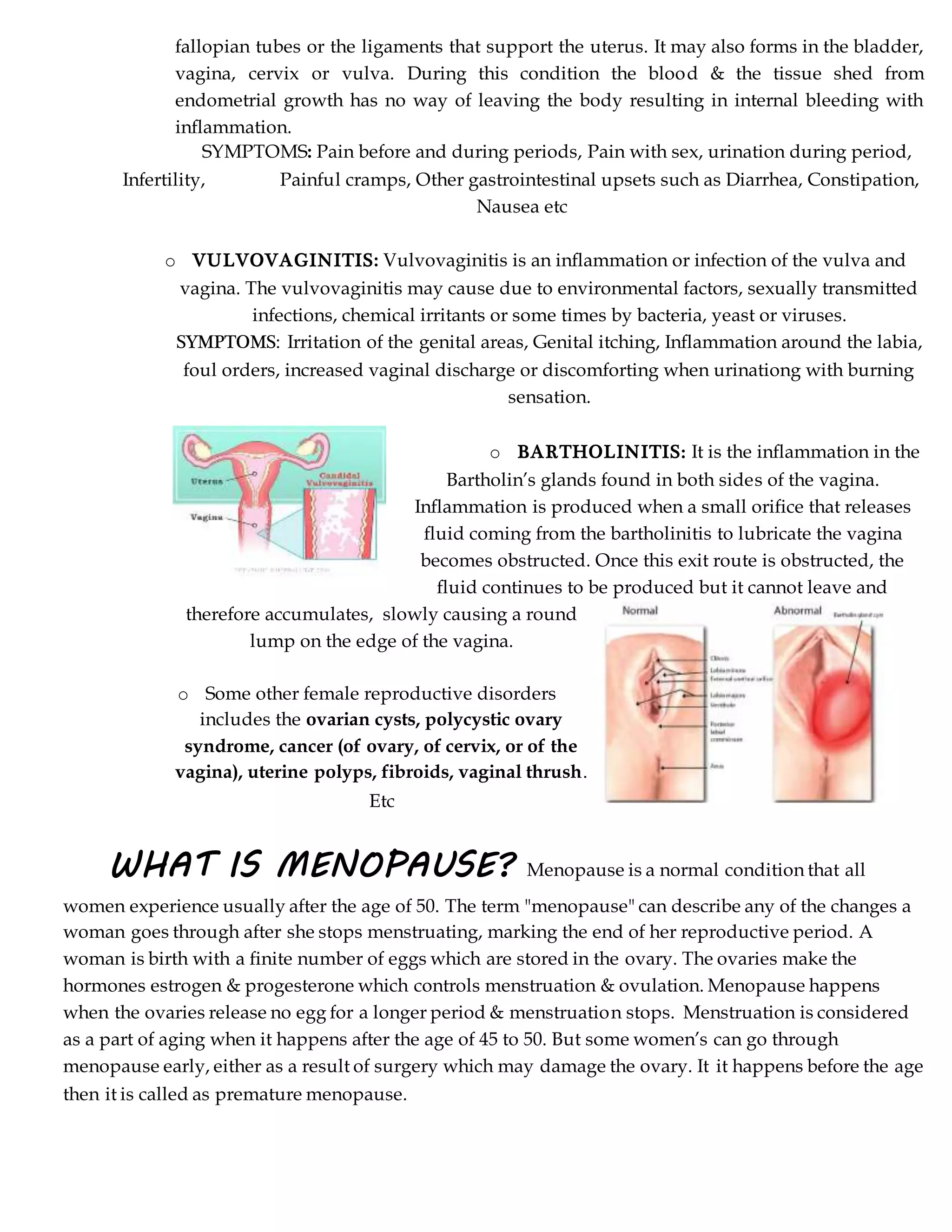 Female Reproductive System | DOCX