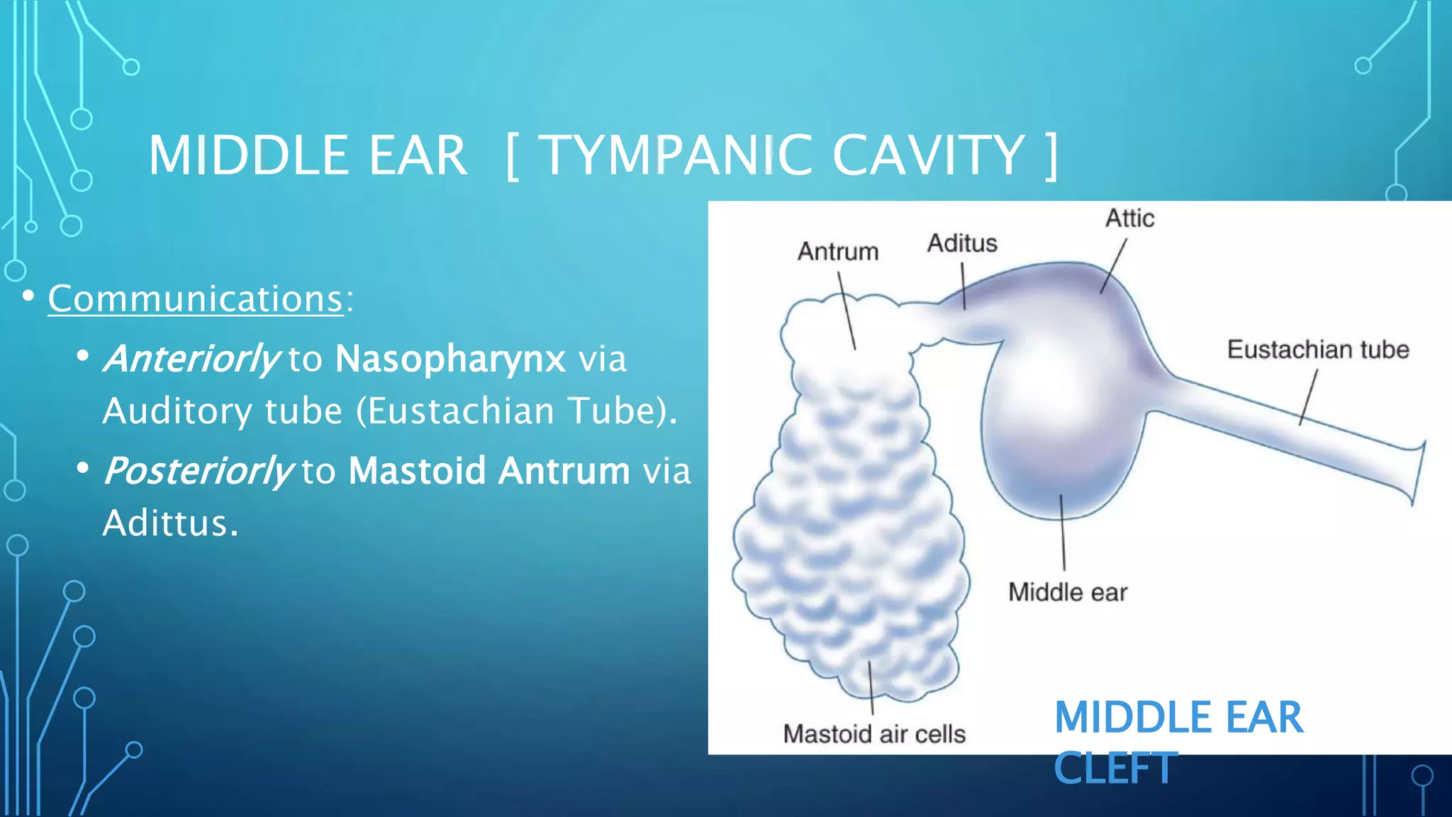 Anatomy Middle Ear (drsaneesh)-.pptx