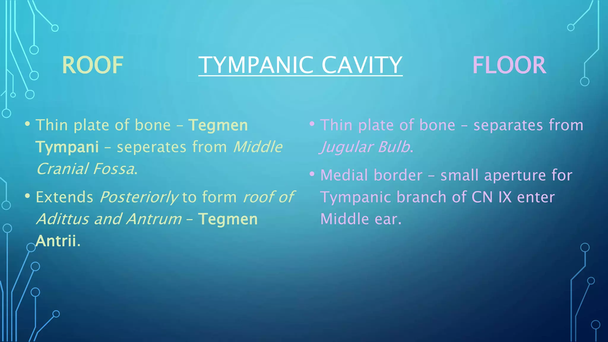 Anatomy Middle Ear (drsaneesh)-.pptx