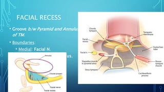 Anatomy Middle Ear (drsaneesh)-.pptx