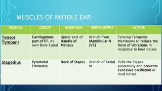 Anatomy Middle Ear (drsaneesh)-.pptx