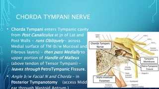 Anatomy Middle Ear (drsaneesh)-.pptx