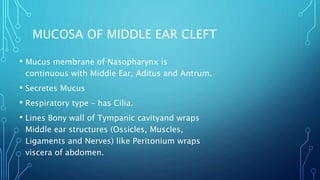Anatomy Middle Ear (drsaneesh)-.pptx