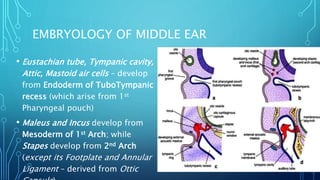 Anatomy Middle Ear (drsaneesh)-.pptx | Ear, Nose and Throat Conditions ...