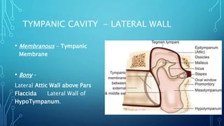 Anatomy Middle Ear (drsaneesh)-.pptx