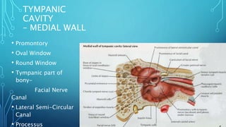 Anatomy Middle Ear (drsaneesh)-.pptx | Ear, Nose and Throat Conditions ...