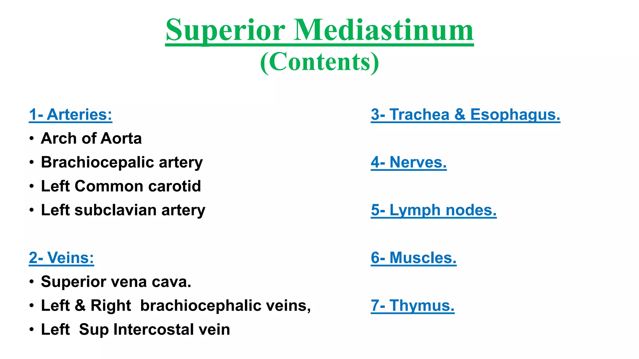 Anatomy (middle mediastinum) | PDF