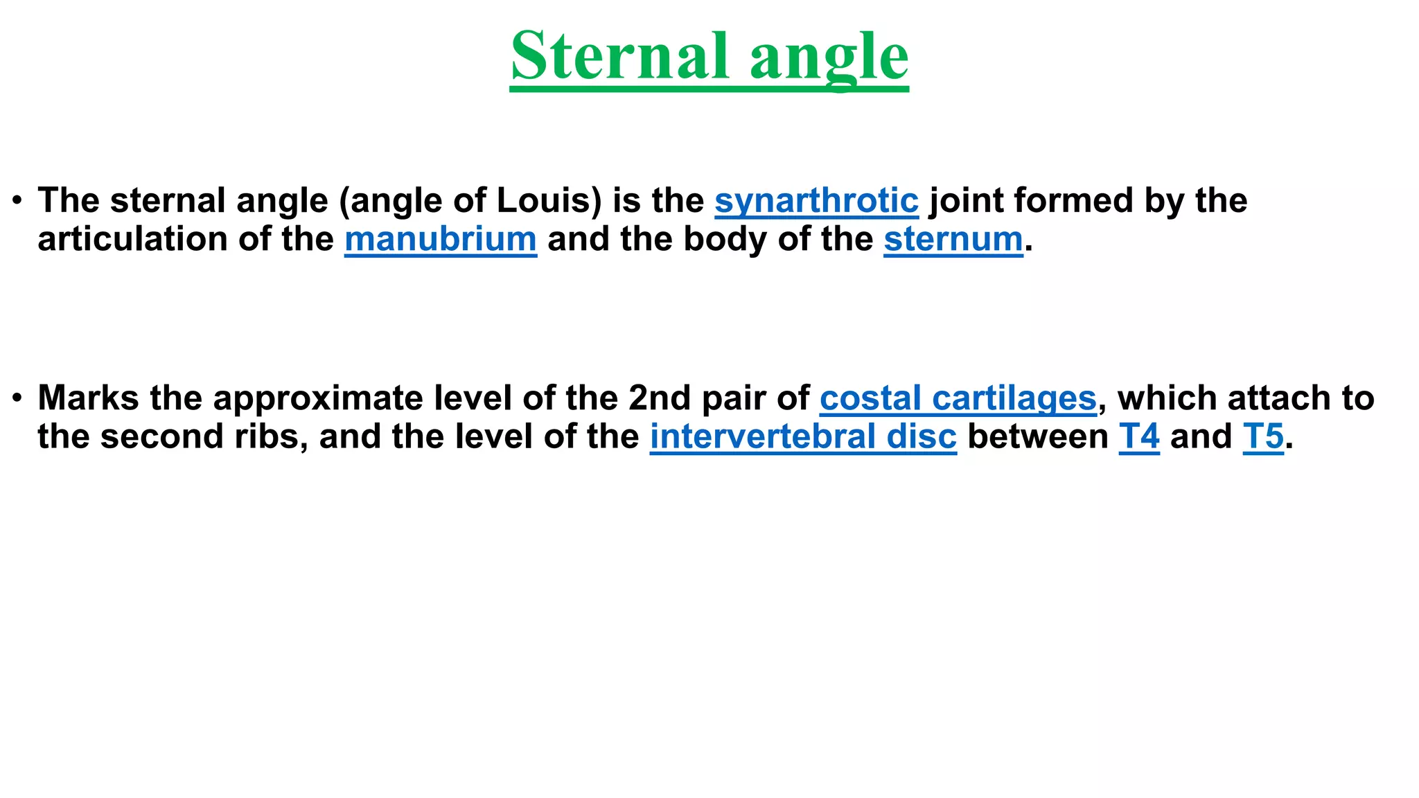 Anatomy (middle mediastinum) | PDF