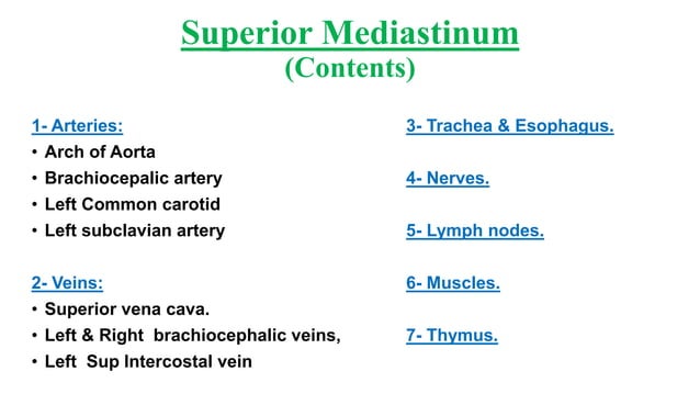 Anatomy (middle mediastinum) | PDF | Lung and Respiratory Health ...