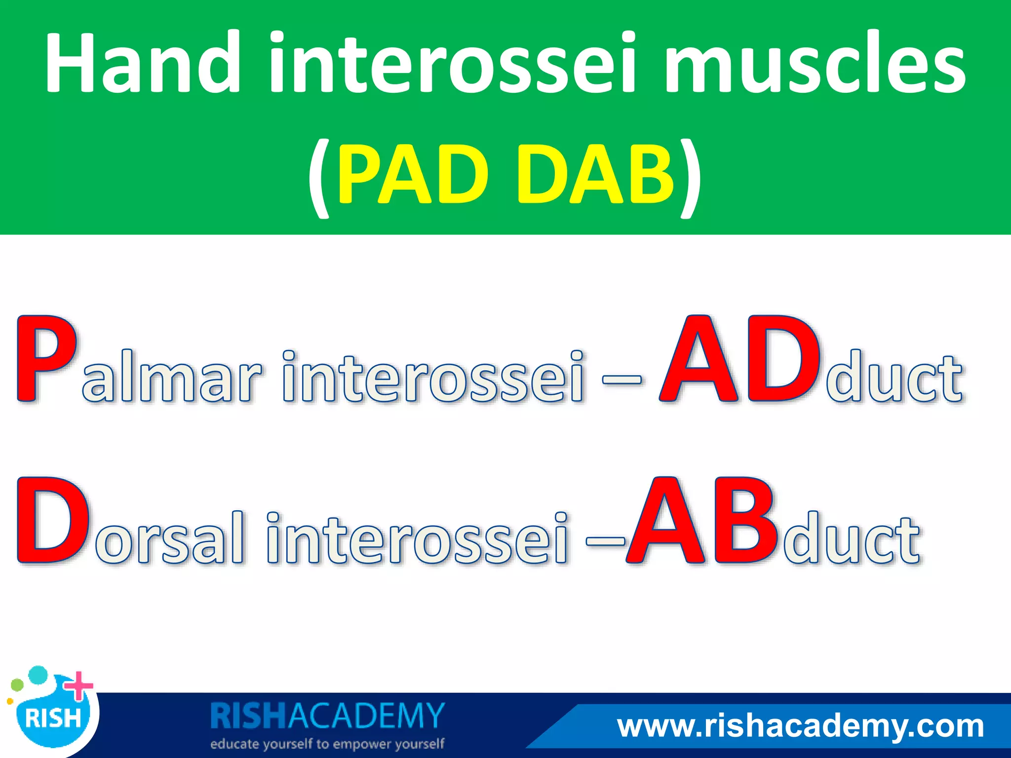 Anatomy mnemonics | PPTX