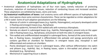 Anatomy Module 3 - Ecological Anatomy.pdf