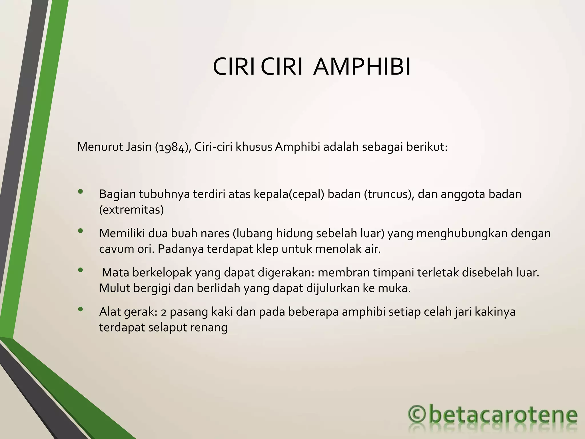 AMPHIBIA - MORPHOLOGY AND ANATOMY | PPTX