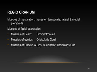 Anatomy muskuloskeletal system (jaringan otot) | PPT