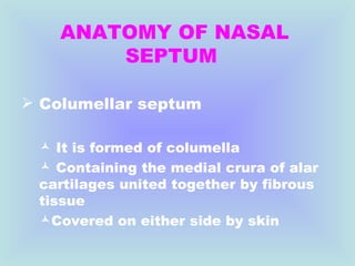 Anatomy Nasal Septum and Septoplasty - Pakistan | PPT