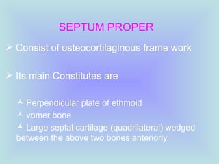 Anatomy Nasal Septum and Septoplasty - Pakistan | PPT