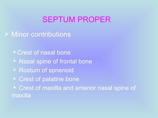 Anatomy Nasal Septum and Septoplasty - Pakistan | PPT