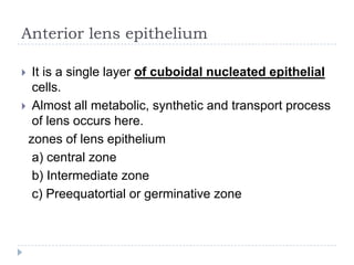 Anatomy and embryology of crystalline lens DrBP | PPTX