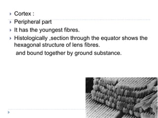 Anatomy and embryology of crystalline lens DrBP | PPTX