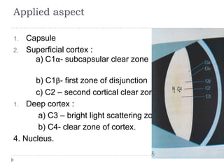 Anatomy and embryology of crystalline lens DrBP | PPTX