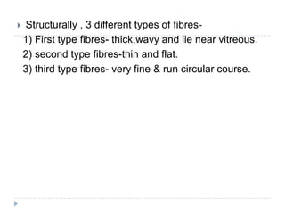 Anatomy and embryology of crystalline lens DrBP | PPTX