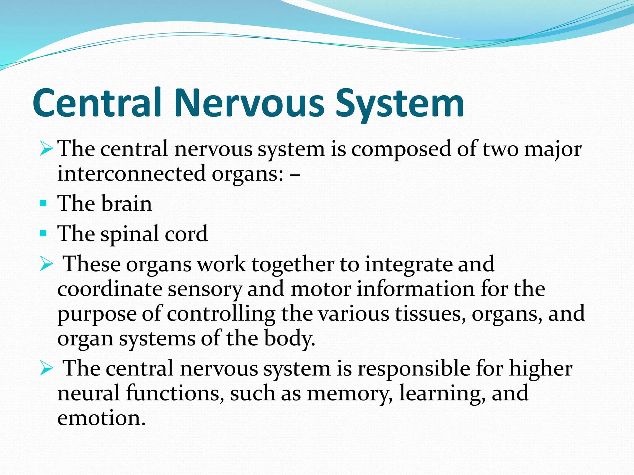 Anatomy and physiology of nervous system | PPTX