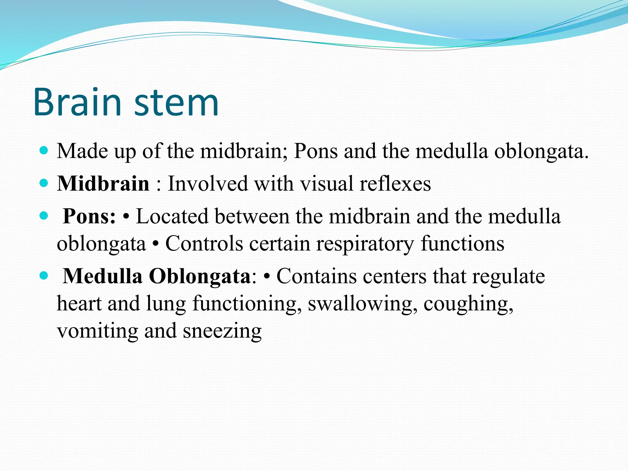 Anatomy and physiology of nervous system | PPTX