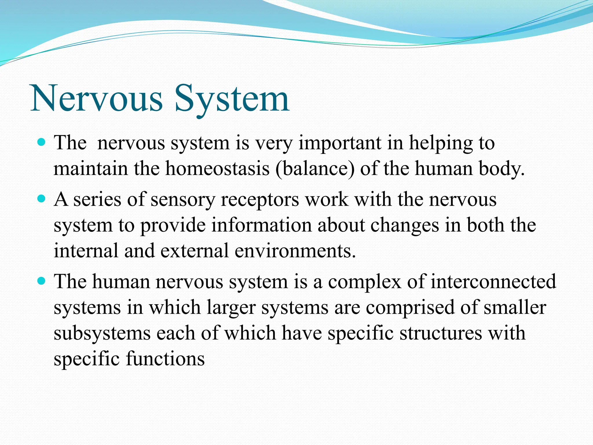 Anatomy and physiology of nervous system | PPTX
