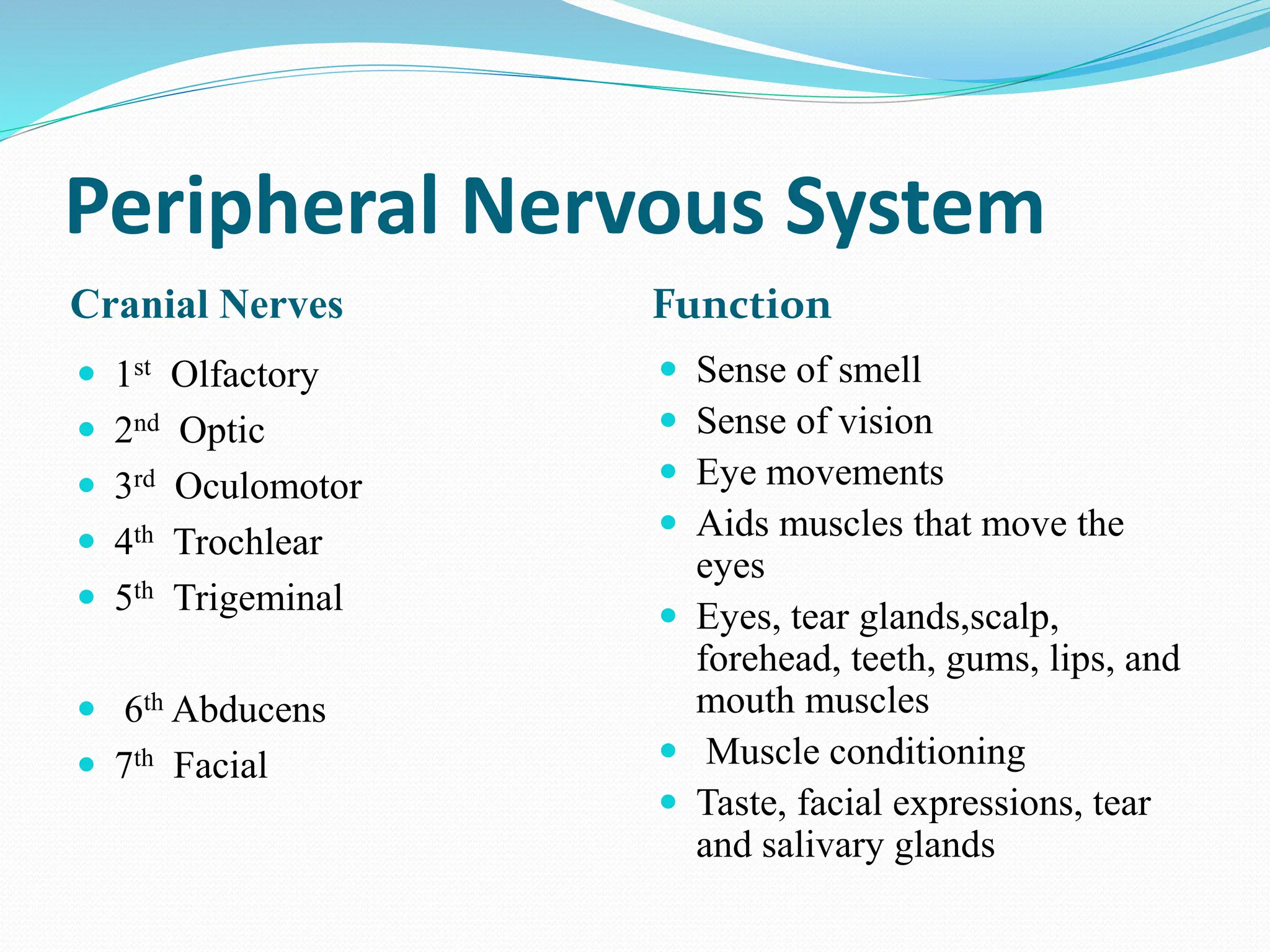 Anatomy and physiology of nervous system | PPTX