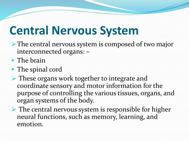 Anatomy and physiology of nervous system | PPTX