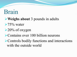 Anatomy and physiology of nervous system | PPTX