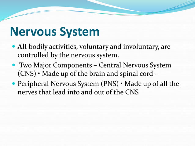 Anatomy and physiology of nervous system | PPTX