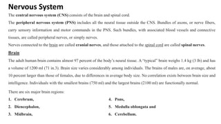 Anatomy Nervous System 1st Proff 2022-23.pdf