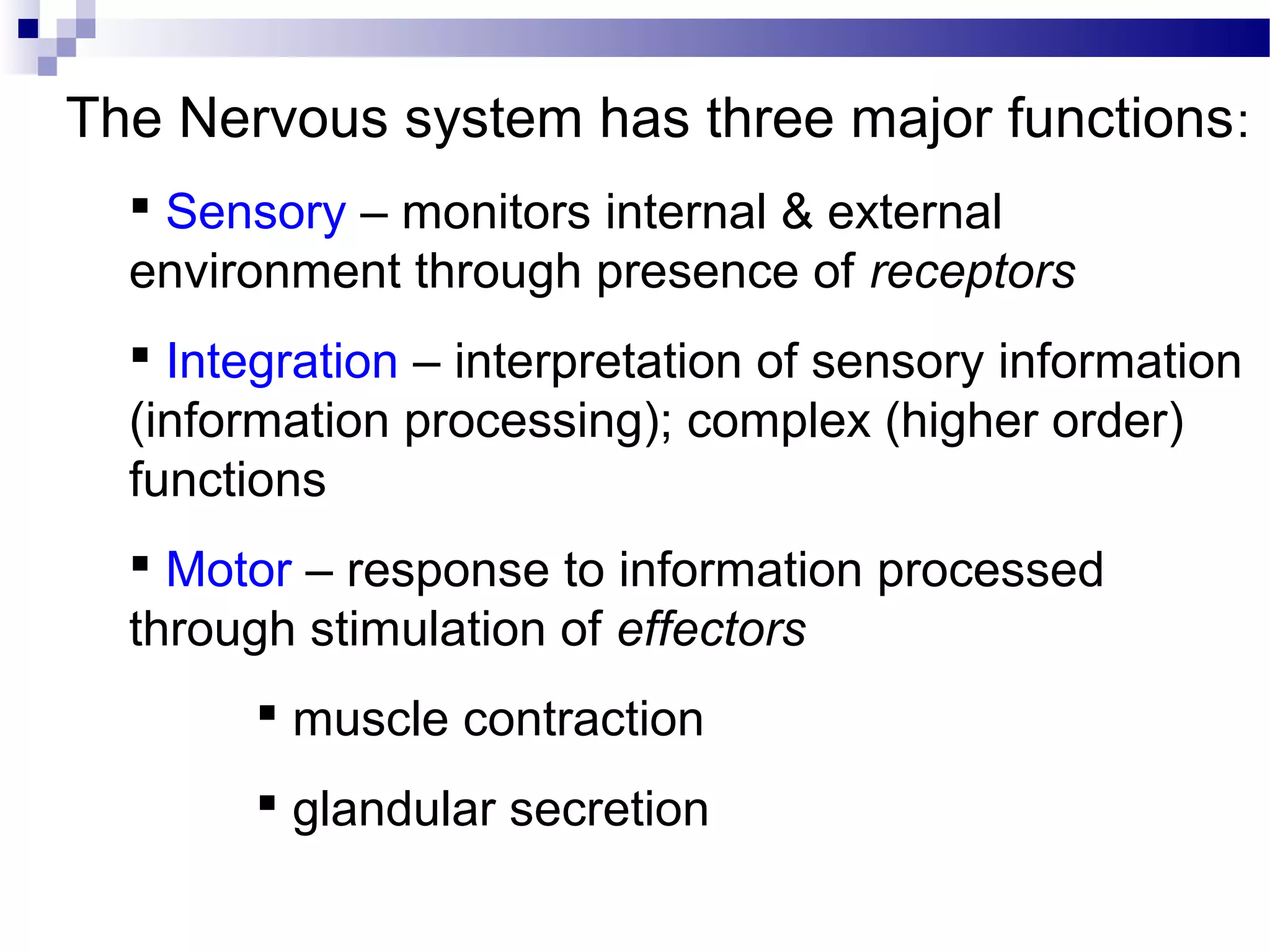 Anatomy nervous tissue | PPT