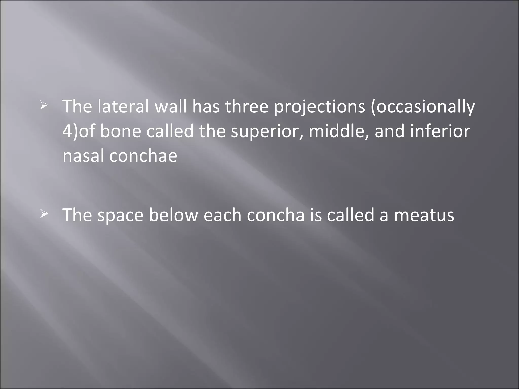 Anatomy nose and nasopharynx r vignesh | PPT